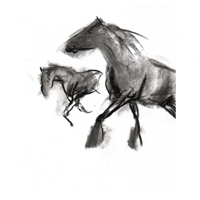 WP Charcoal 3 two horses in paddock charcoal drawing